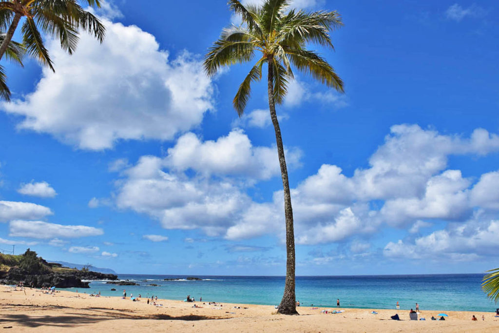 Dicas do Havaí - Roteiro de viagem - Oahu, Maui, Kauai e Big Island