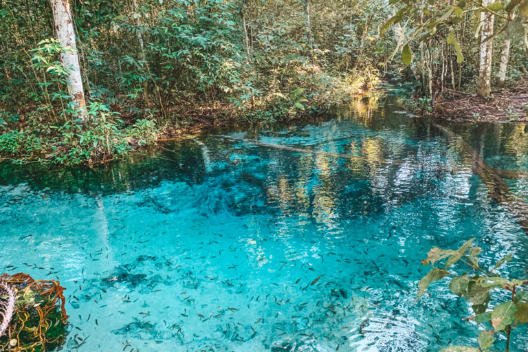 Dicas de Nobres - Mato Grosso - Paraíso pertinho de Cuiabá