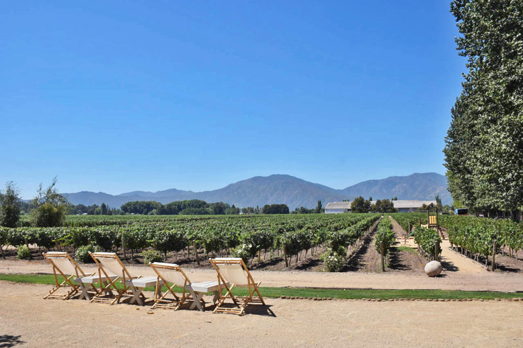 Vale do Colchagua, Chile - a região com as melhores vinícolas chilenas