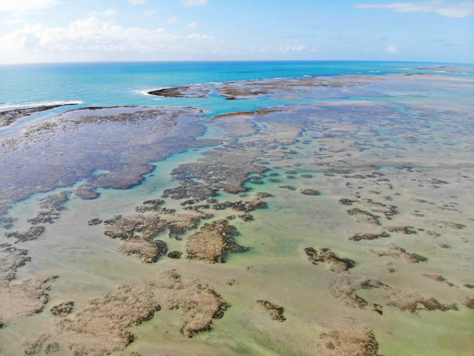 Dicas de Milagres e Praia do Patacho - Alagoas | Lala Rebelo